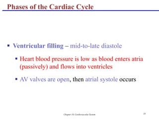 heart2 physiology of cardiovascular system | PPTX
