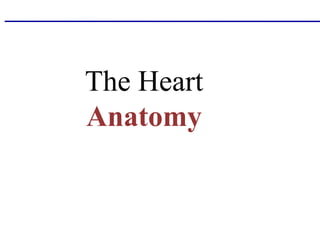 heart2 physiology of cardiovascular system | PPTX