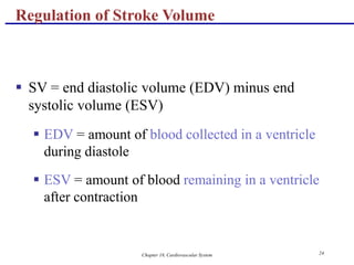 heart2 physiology of cardiovascular system | PPTX