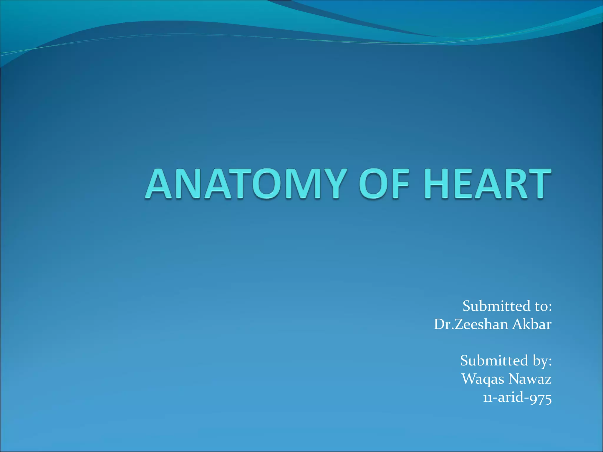 Heart anatomy | PPT