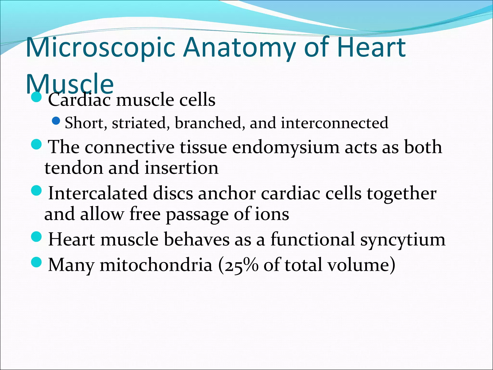 Heart anatomy | PPT