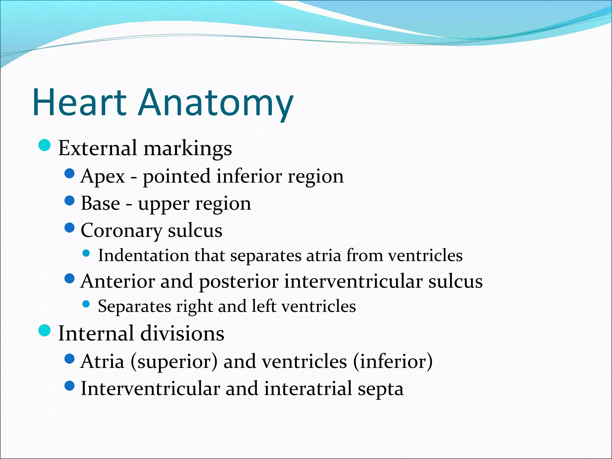 Heart anatomy | PPT
