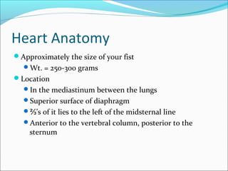 Heart anatomy | PPT