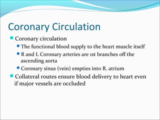 Heart anatomy | PPT