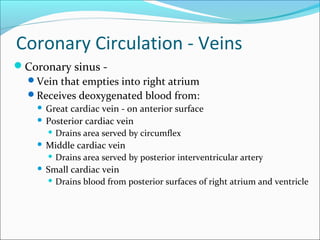 Heart anatomy | PPT