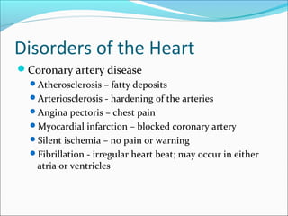 Heart anatomy | PPT