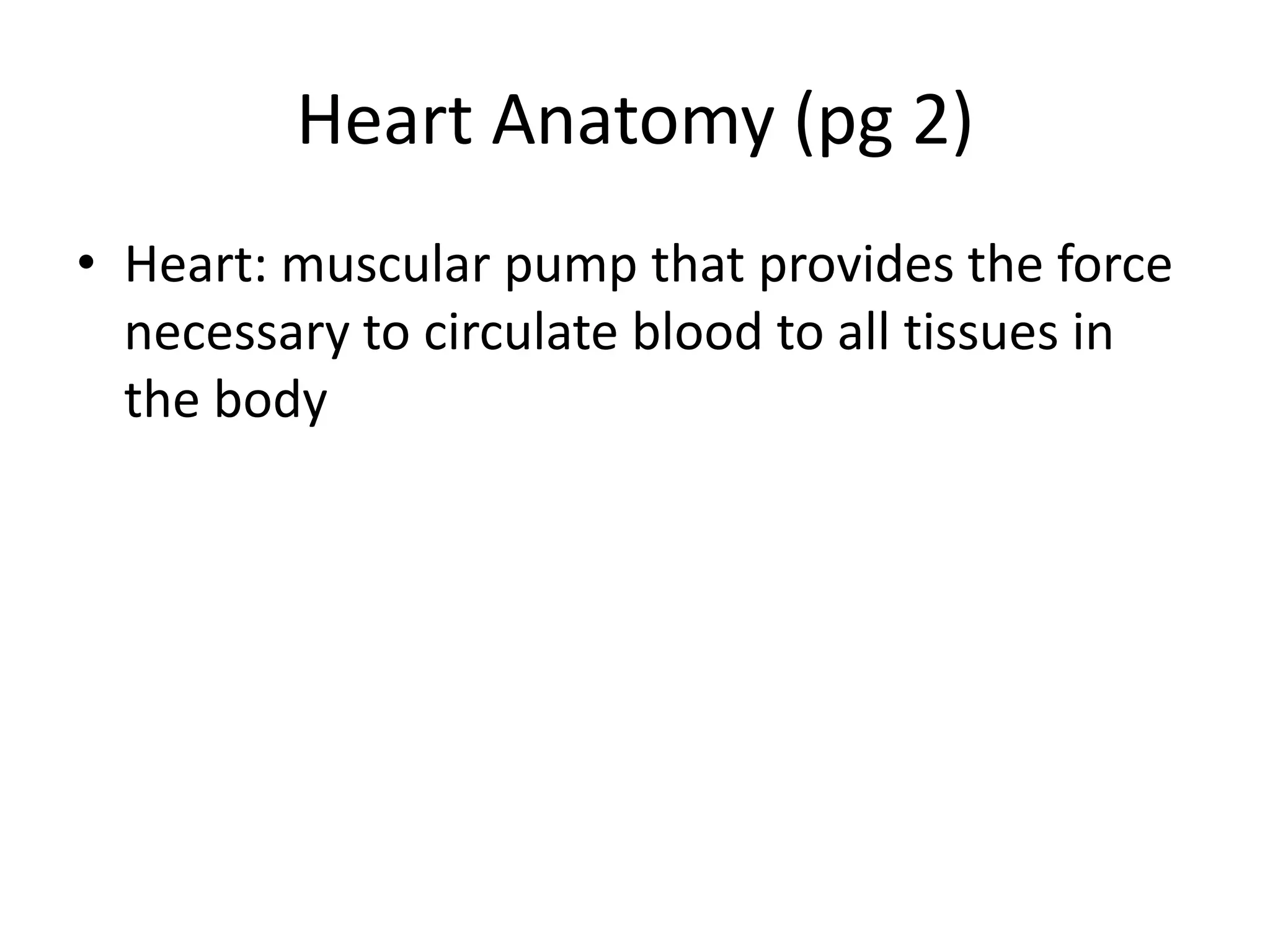 Heart anatomy | PPT