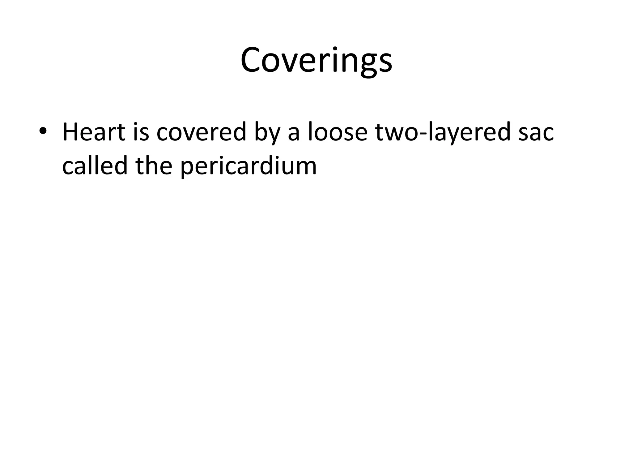 Heart anatomy | PPT