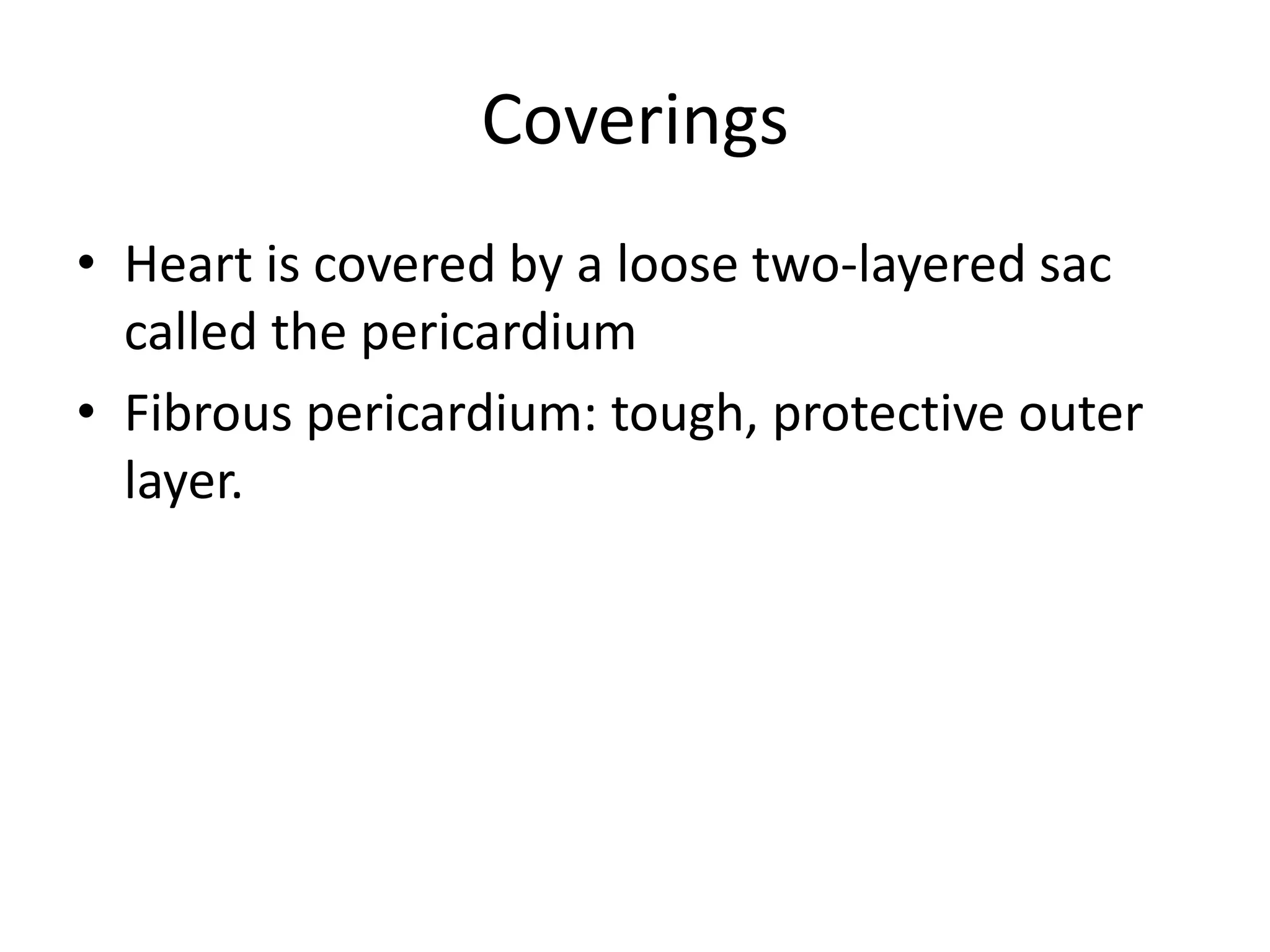 Heart anatomy | PPT