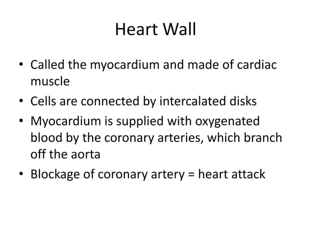 Heart anatomy | PPT