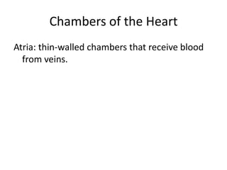 Heart anatomy | PPT