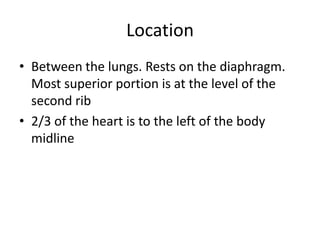 Heart anatomy | PPT