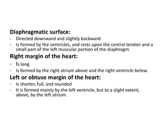 Anatomy of Heart..!! | PPTX
