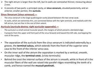 Anatomy of Heart..!! | PPTX