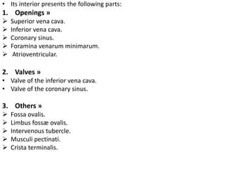 Anatomy of Heart..!! | PPTX