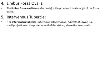 Anatomy of Heart..!! | PPTX