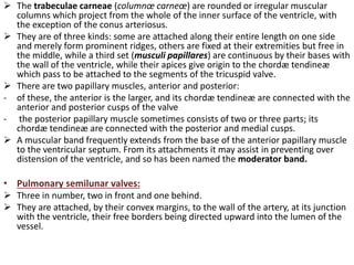 Anatomy of Heart..!! | PPTX