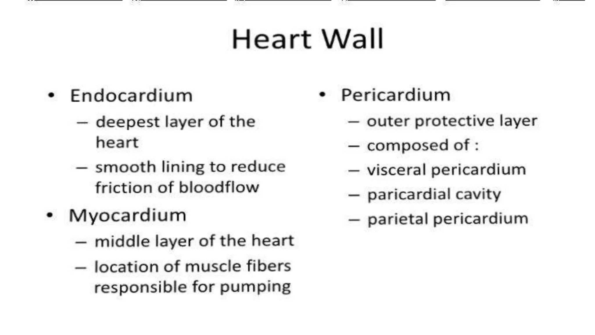 Heart anatomy | PPTX