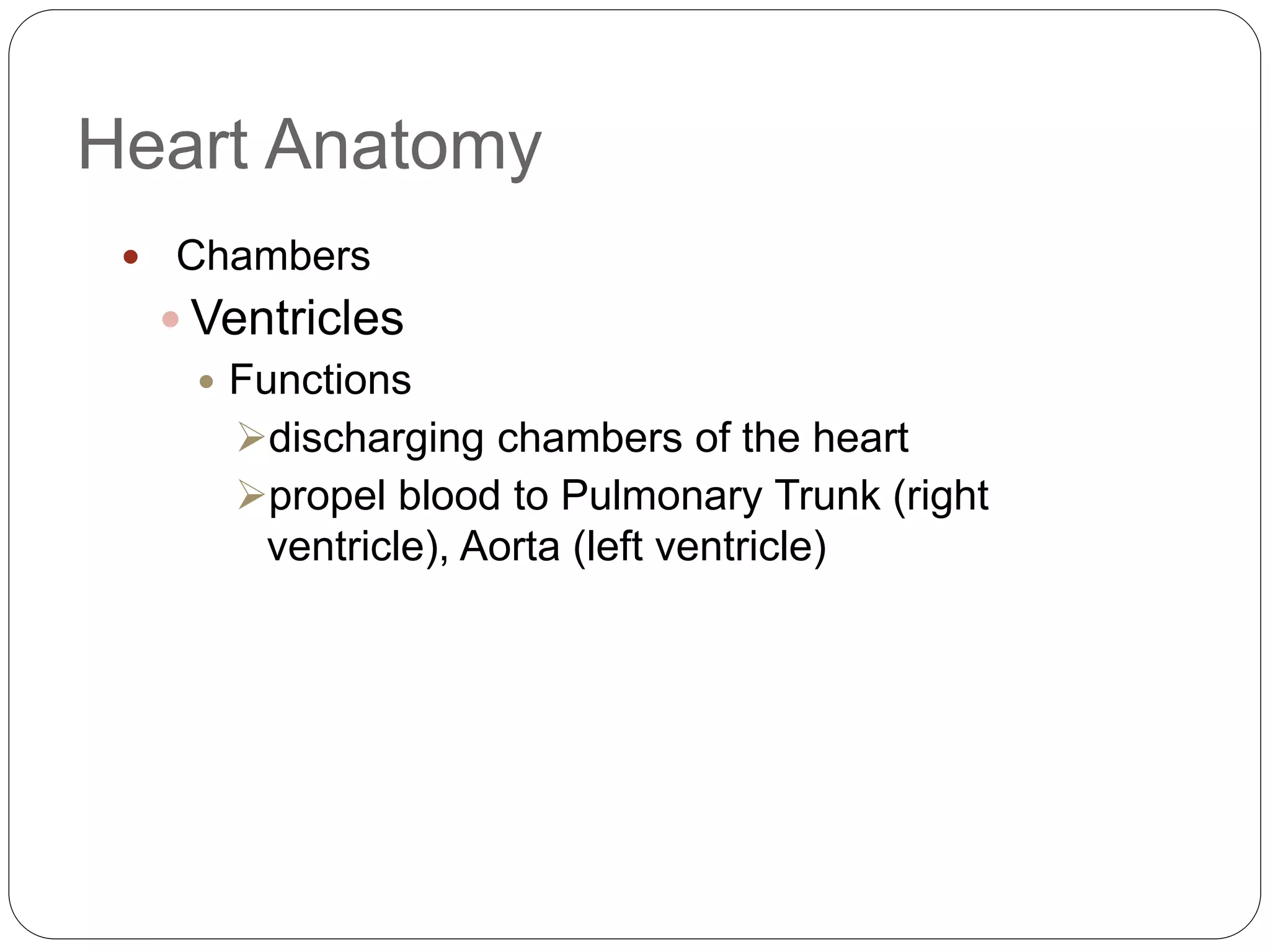 heart anatomy.ppt