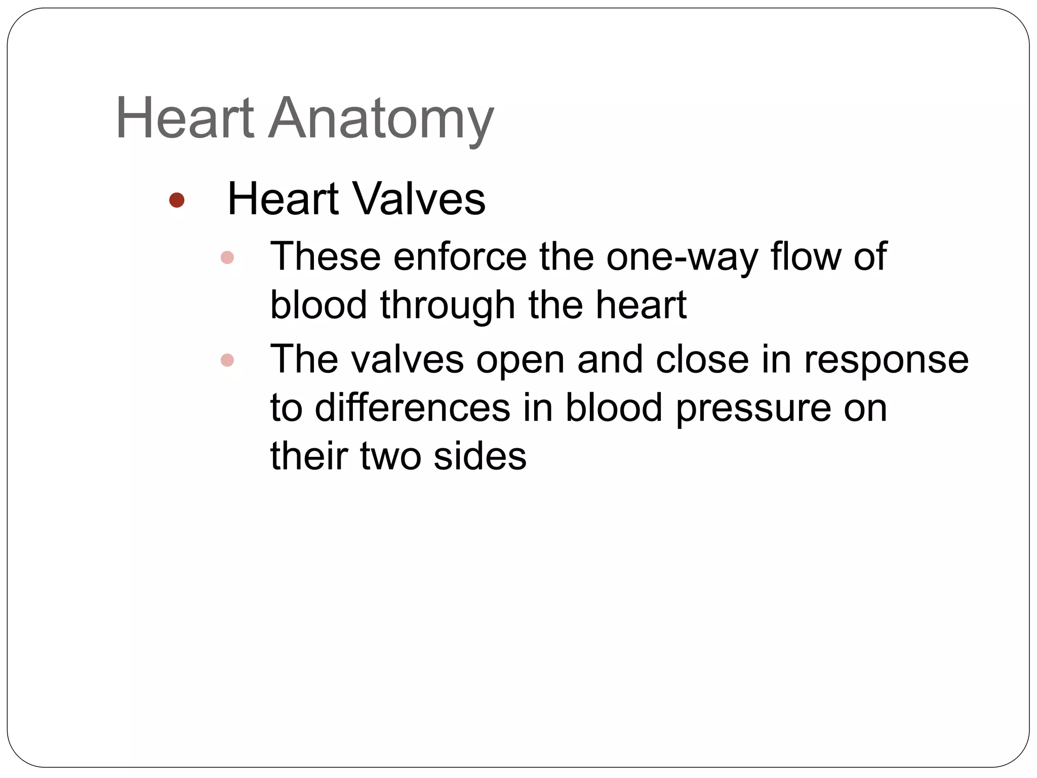 heart anatomy.ppt