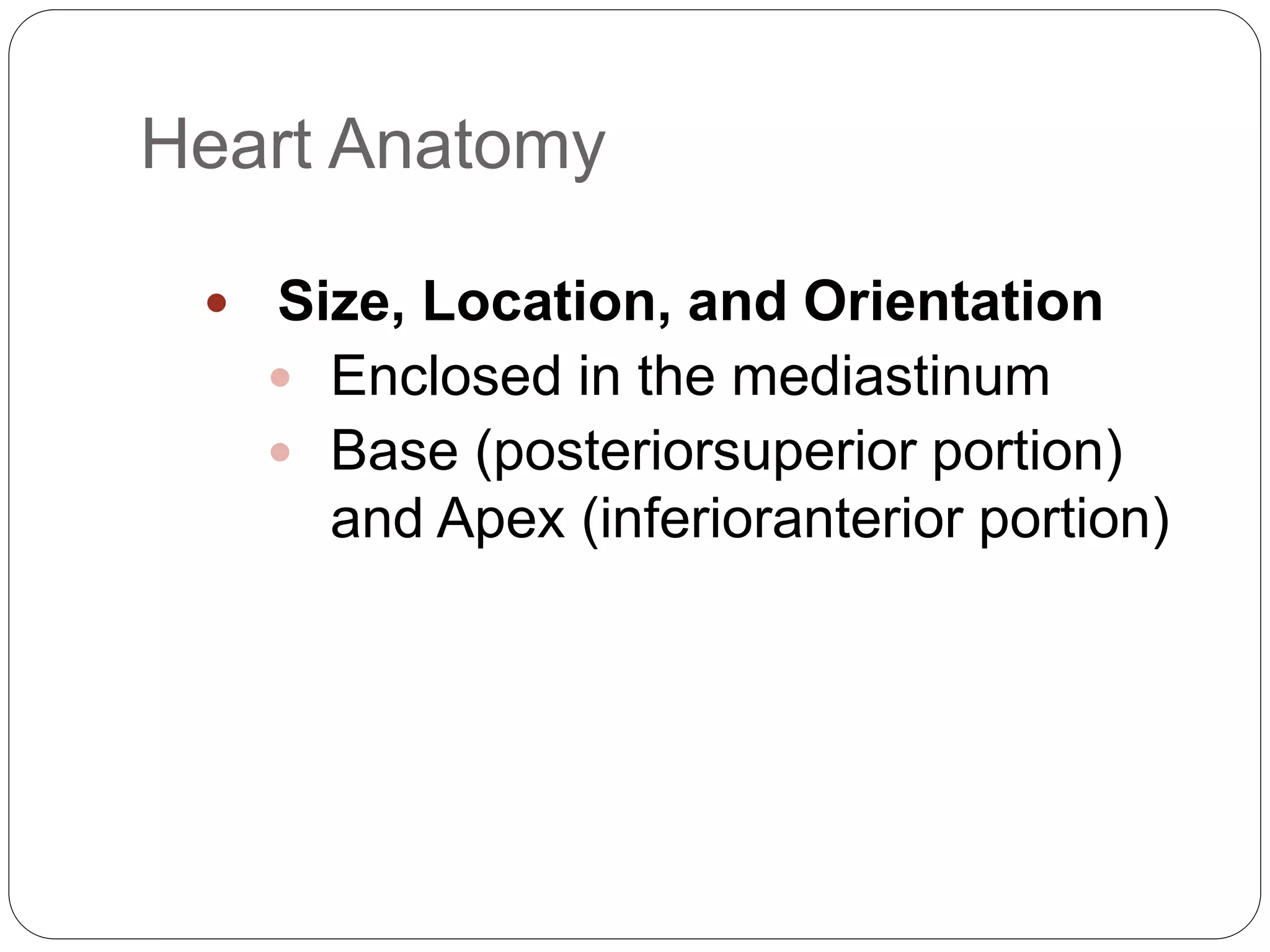 heart anatomy.ppt