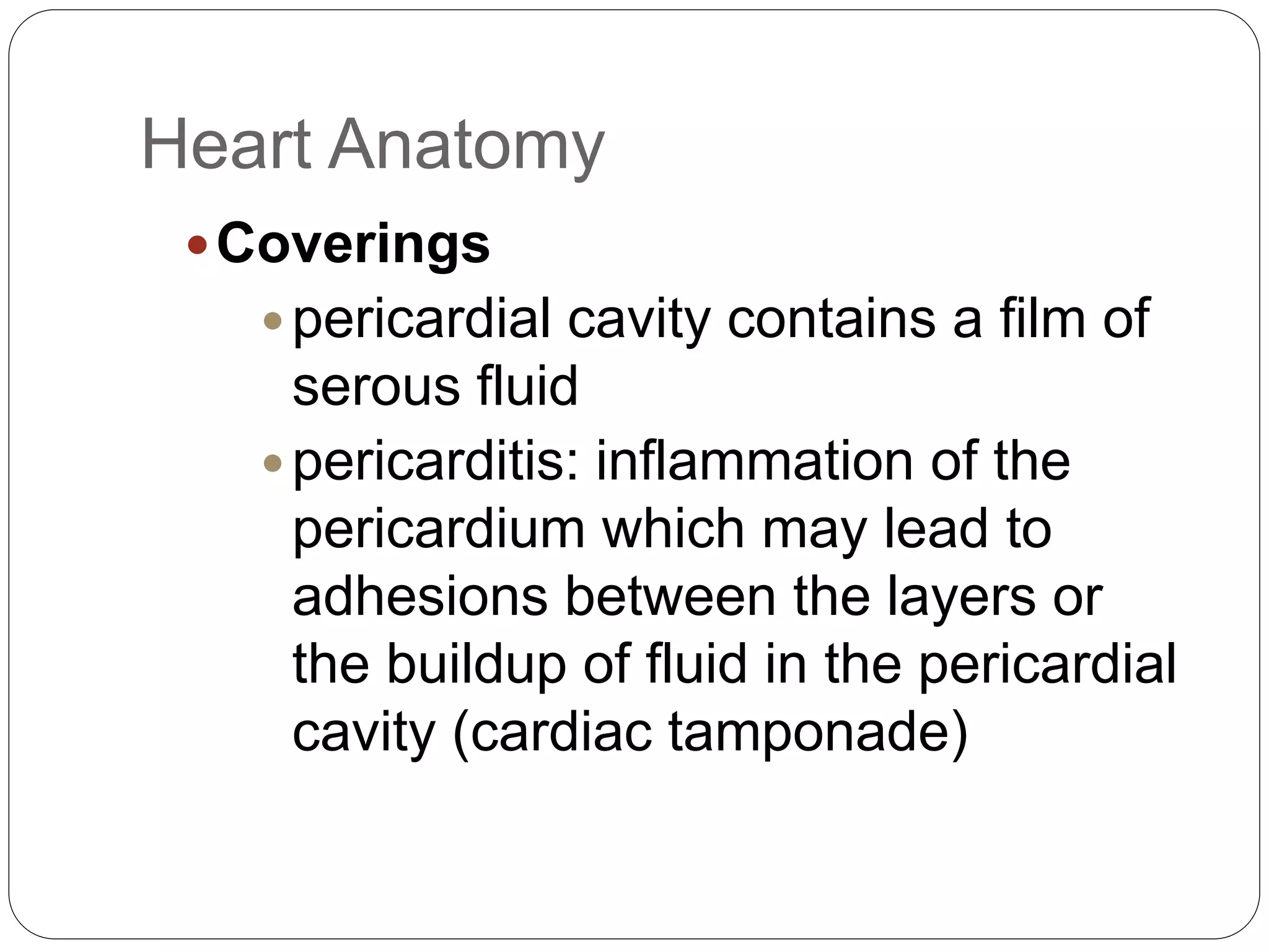 heart anatomy.ppt