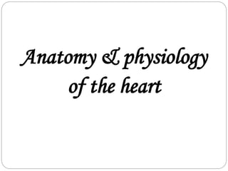heart anatomy.ppt