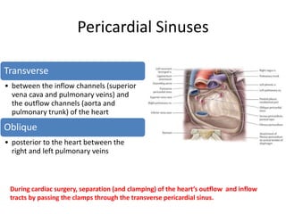 Heart Anatomy.pptx
