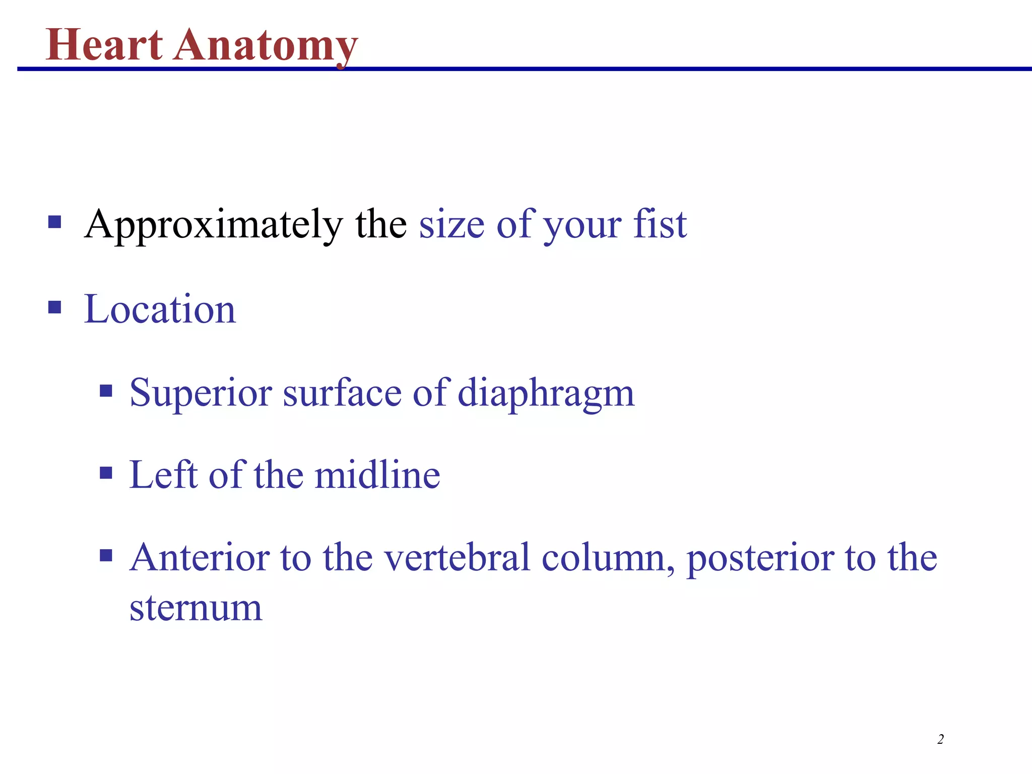 heart anatomy.ppt