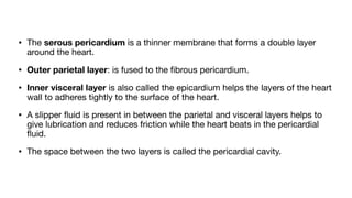Heart Anatomy- Dr. Sonalika.pdf