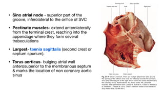 Heart Anatomy- Dr. Sonalika.pdf
