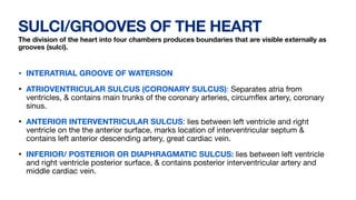Heart Anatomy- Dr. Sonalika.pdf