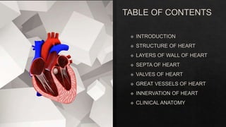 anatomy of the heart/ chambers of heart/heart and its blood supply ...