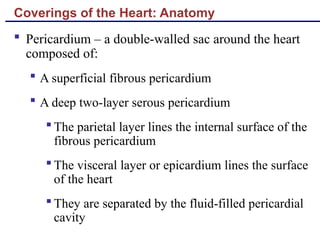 Heart anatomy (1).ppt anatomy of the heart | PPT