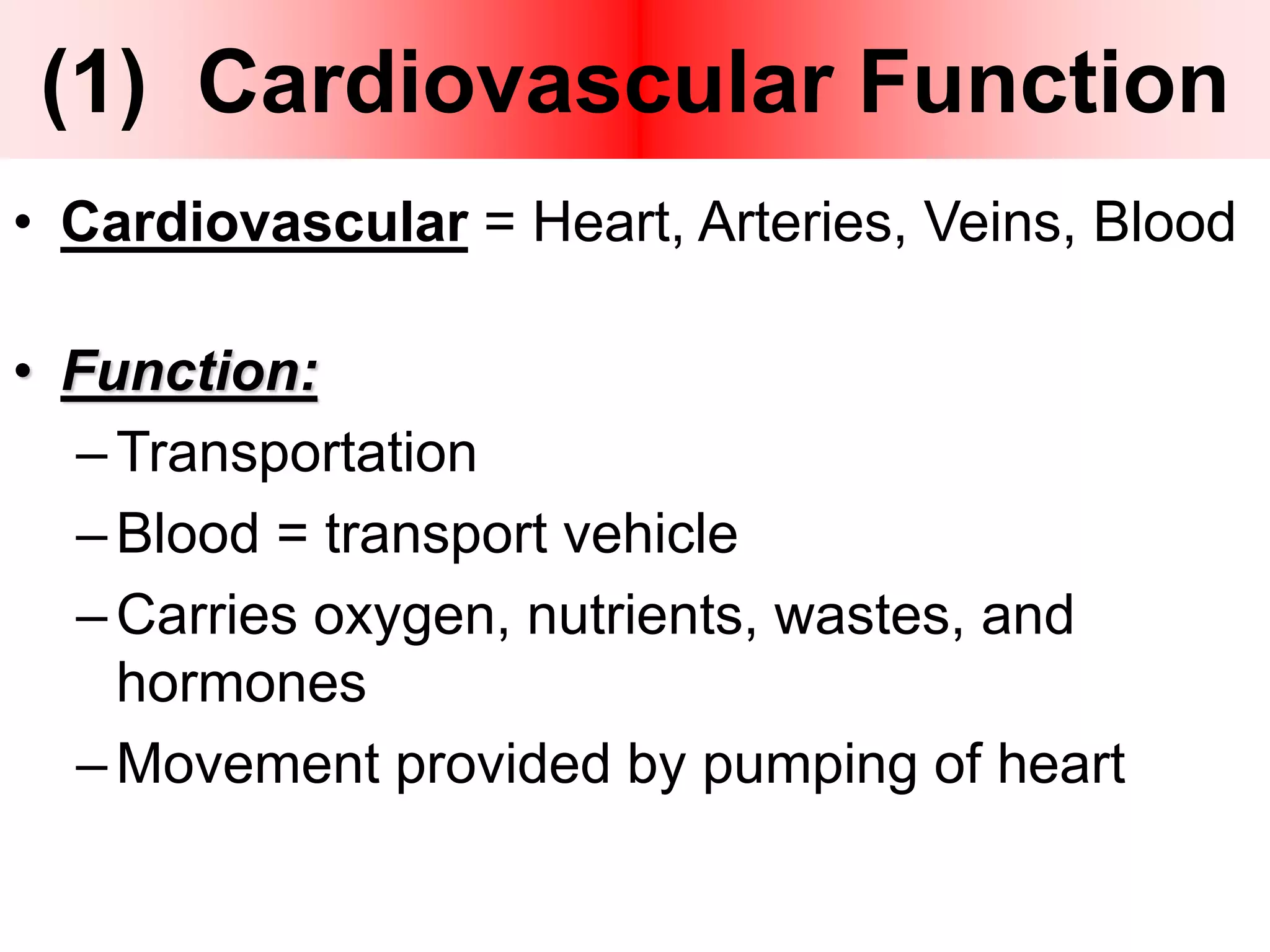 heart anatomy and function_Notes.ppt