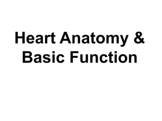 heart anatomy and function_Notes.ppt