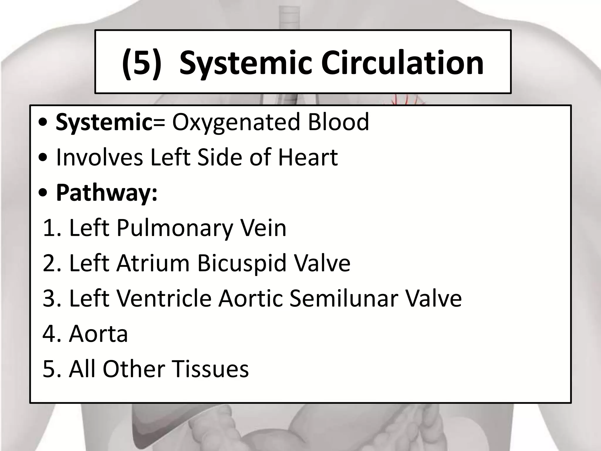 Heart anatomy and functions | PPT