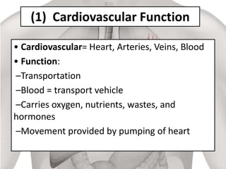 Heart anatomy and functions | PPT