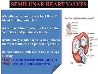 HEART ANATOMY AND PHYSIOLOGY.pptx