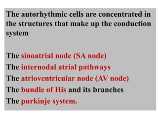 HEART ANATOMY AND PHYSIOLOGY.pptx