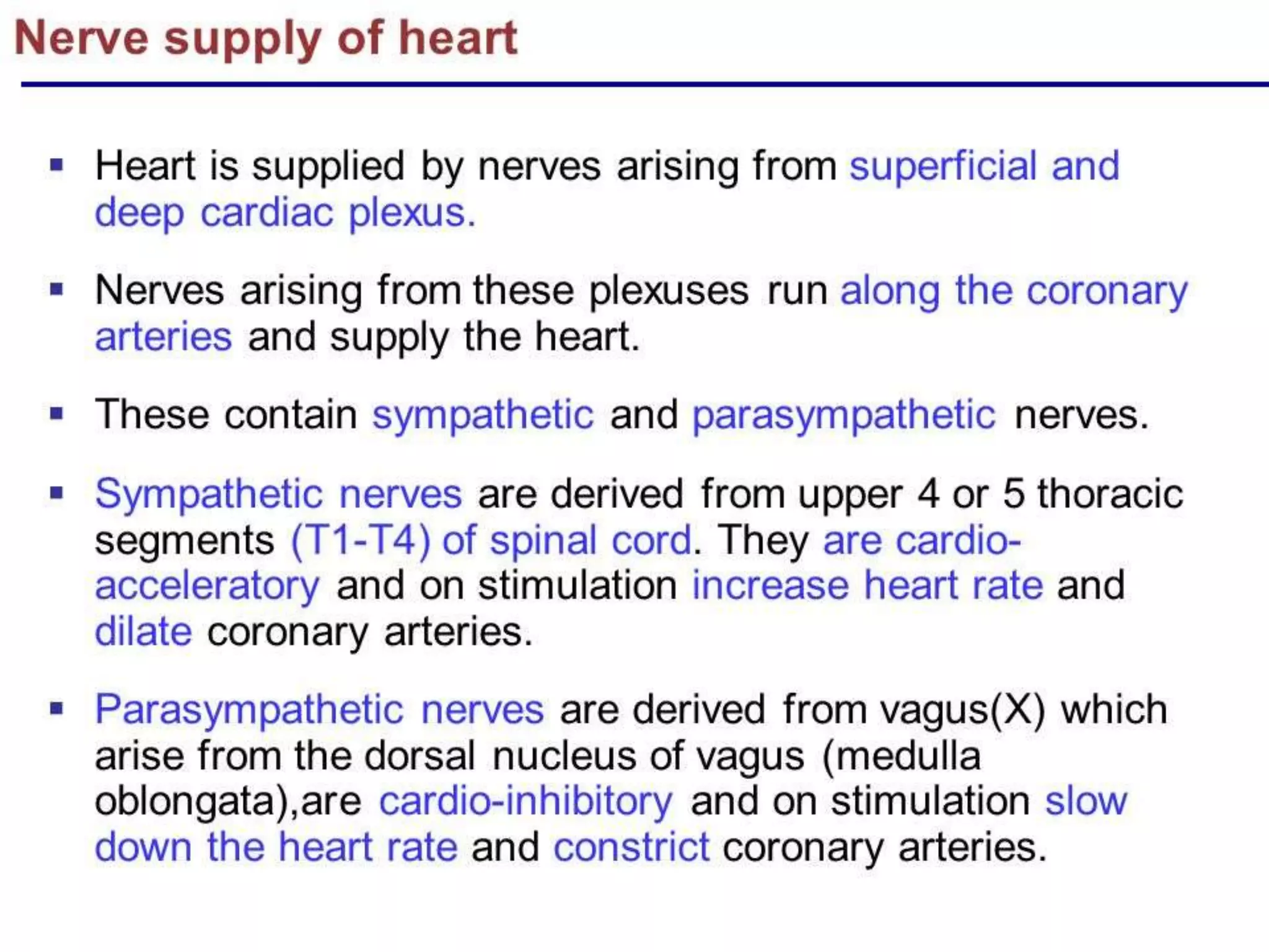heart anatomy pdf.pdf