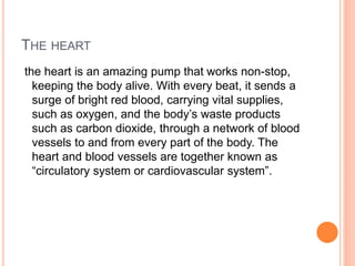 Heart and blood | PPT