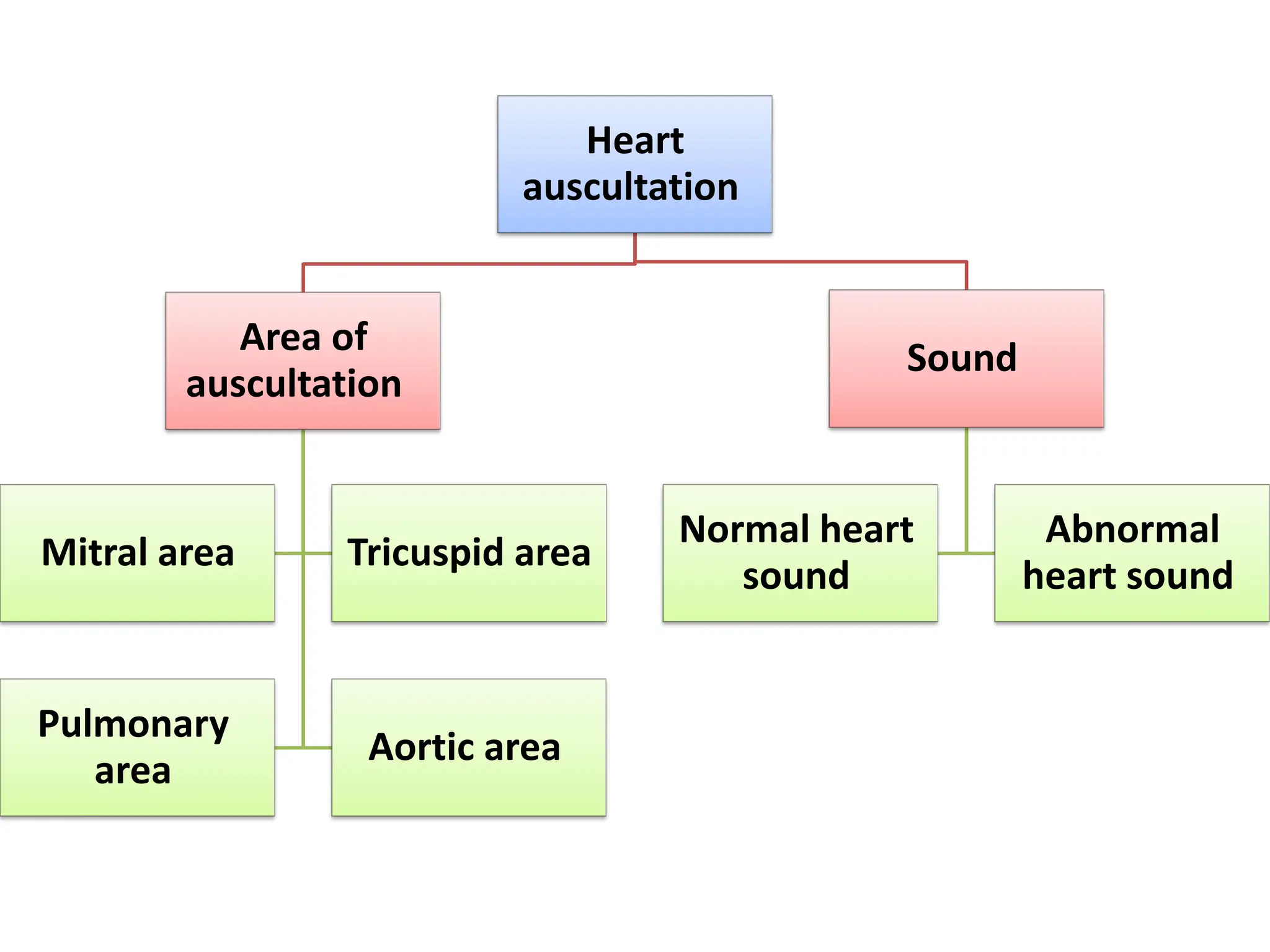 Heart and Chest auscultation and heart sounds | PPT