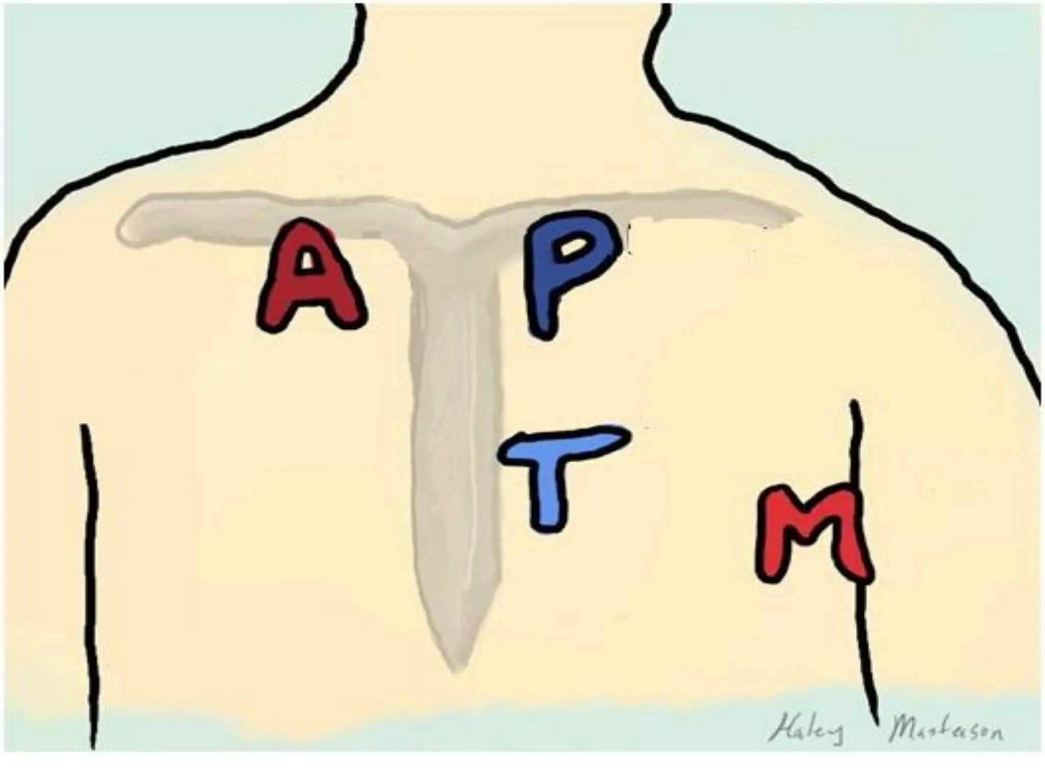 Heart and Chest auscultation and heart sounds | PDF