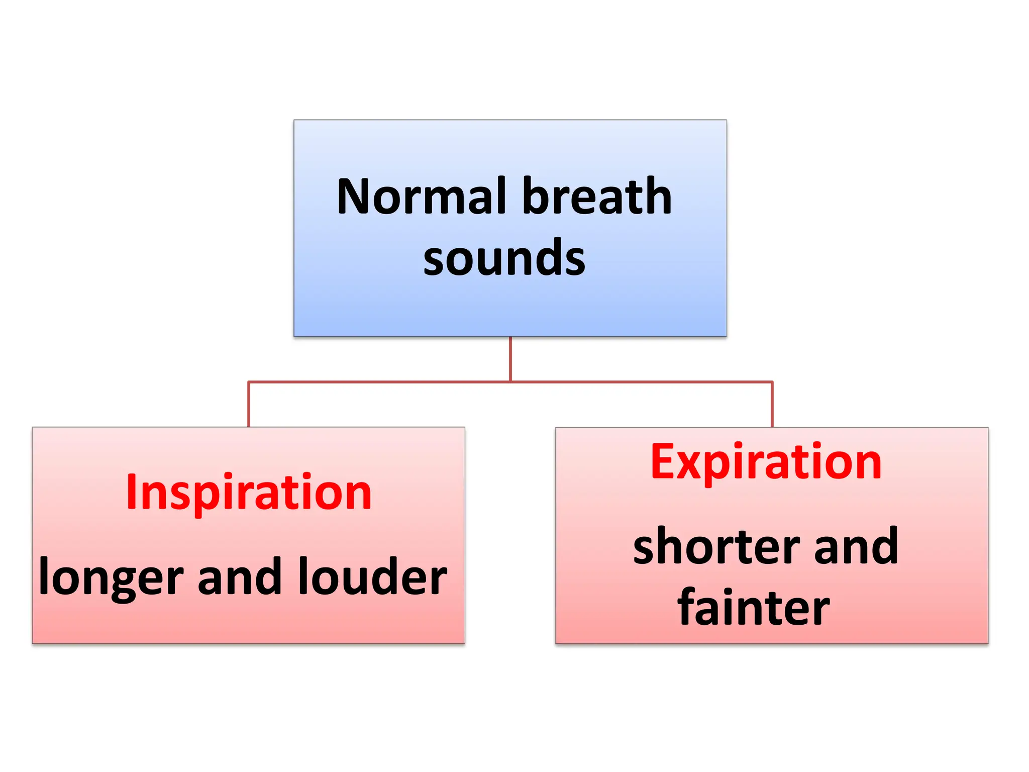 Heart and Chest auscultation and heart sounds | PDF