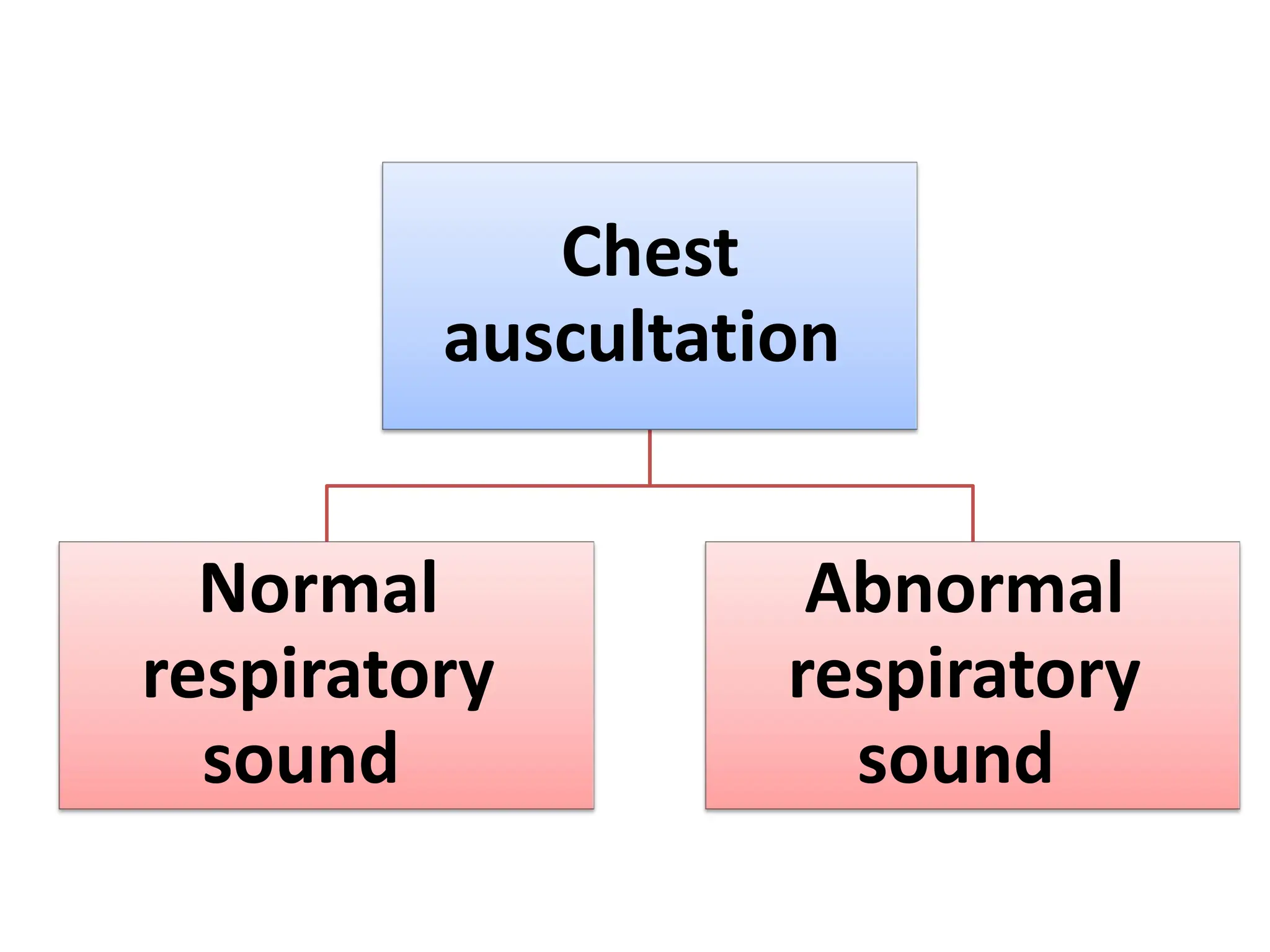 Heart and Chest auscultation and heart sounds | PPT
