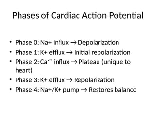 Heart physiology summary powerpoint slides | PPT