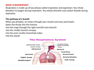 Heart and Circulatory System (2).pptx