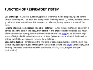 Heart and Circulatory System (2).pptx