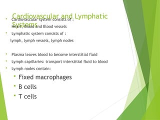 Heart and Lymph system infection and its effects.ppt